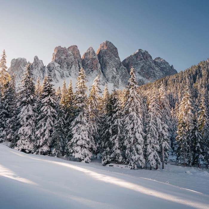 Parco Naturale Puez-Odle | South Tyrol Dolomites