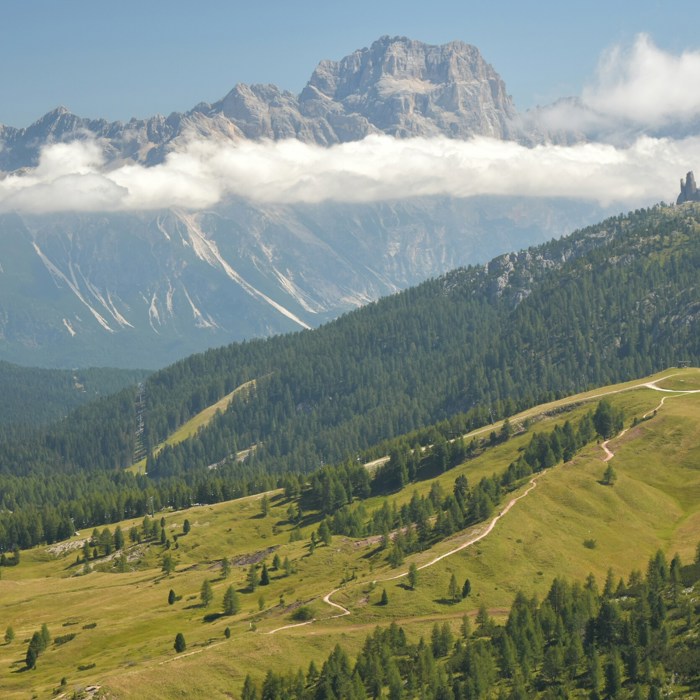 Cinque Torri | Belluno Dolomites